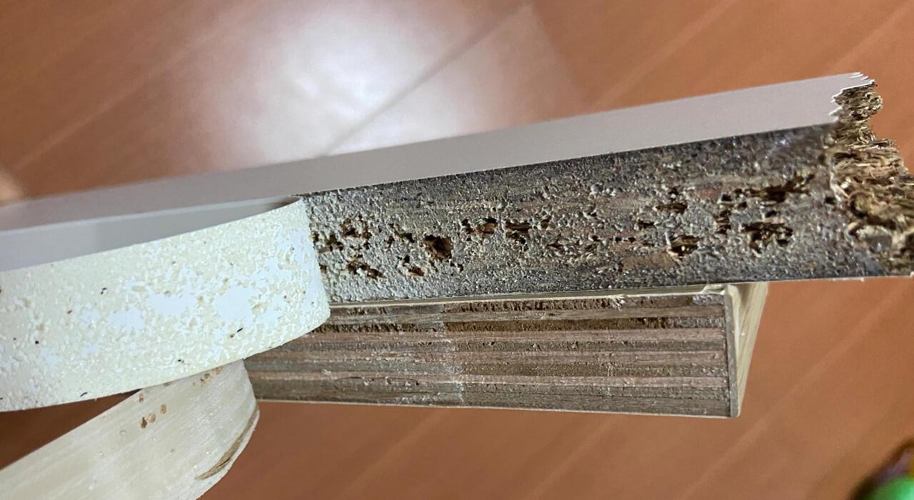 Edge Banding Completed Guide | BESTIN